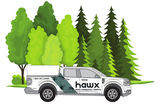 Hawx Service Report